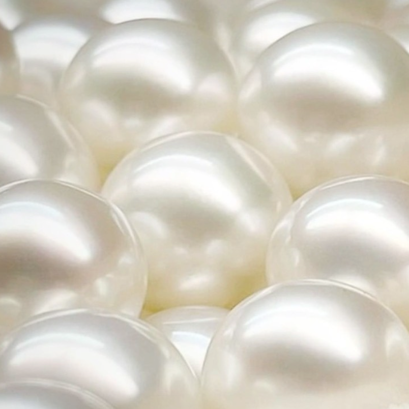 Executive Management Team – Atlas Pearls Ltd