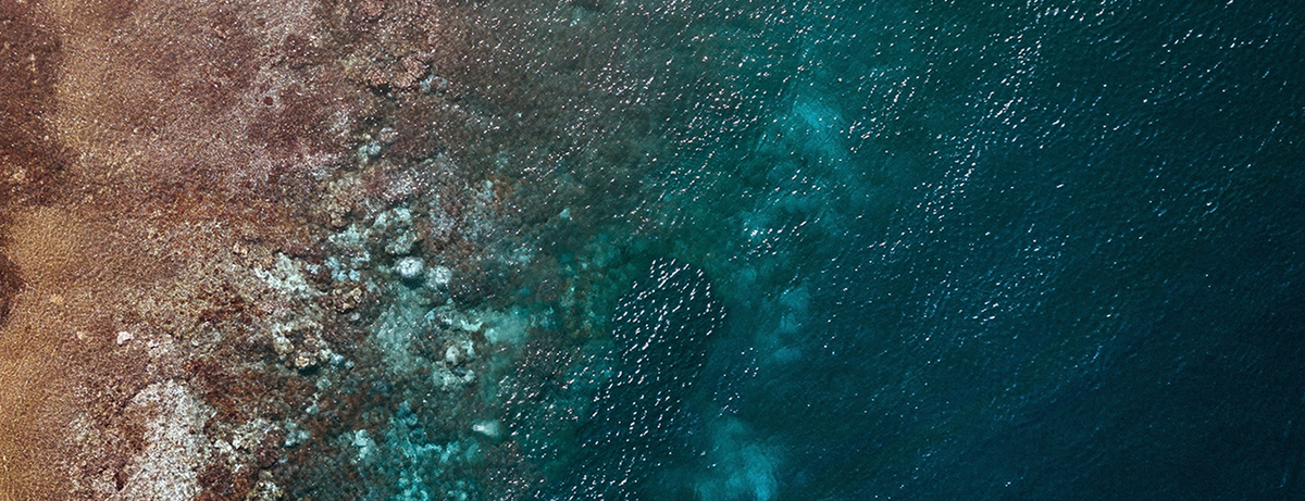 Atlas Pearls – Atlas Pearls Ltd